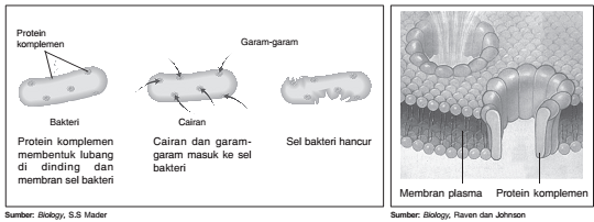 WARTA BIOLOGI